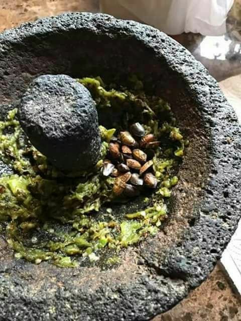 Digital Guerrero | El Huixteco en Taxco se prepara para recibir decenas ...